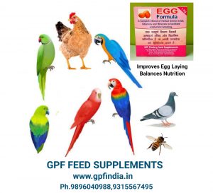 Poultry Egg Formula